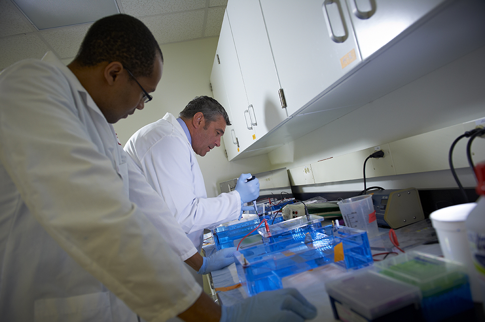 Temple-Led Research Team Traces Pathway to Cardioprotection in Post ...